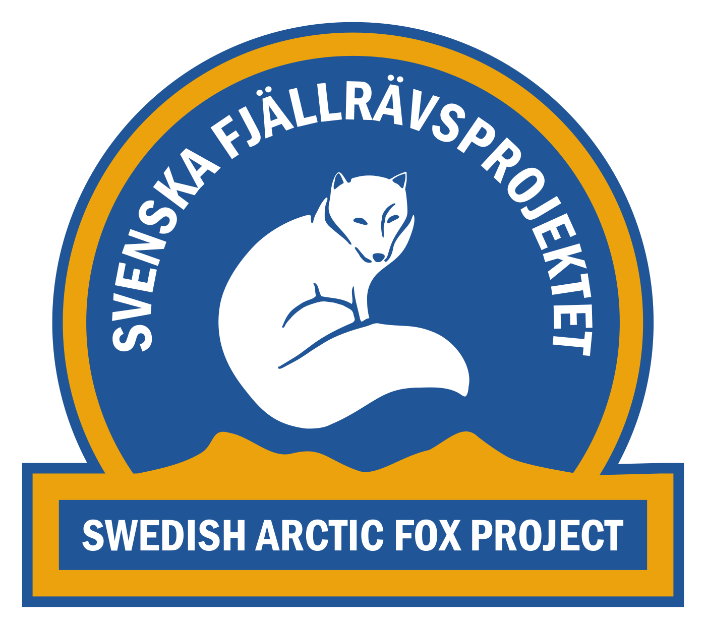 The Swedish Arctic Fox Project | Rasmus Erlandsson